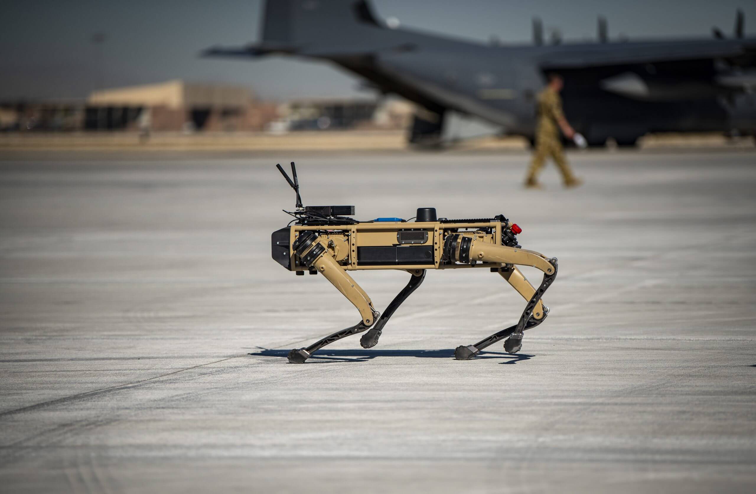 'Black Mirror-Like' Robo-Dogs Patrol US Border, Searching For Illegals ...