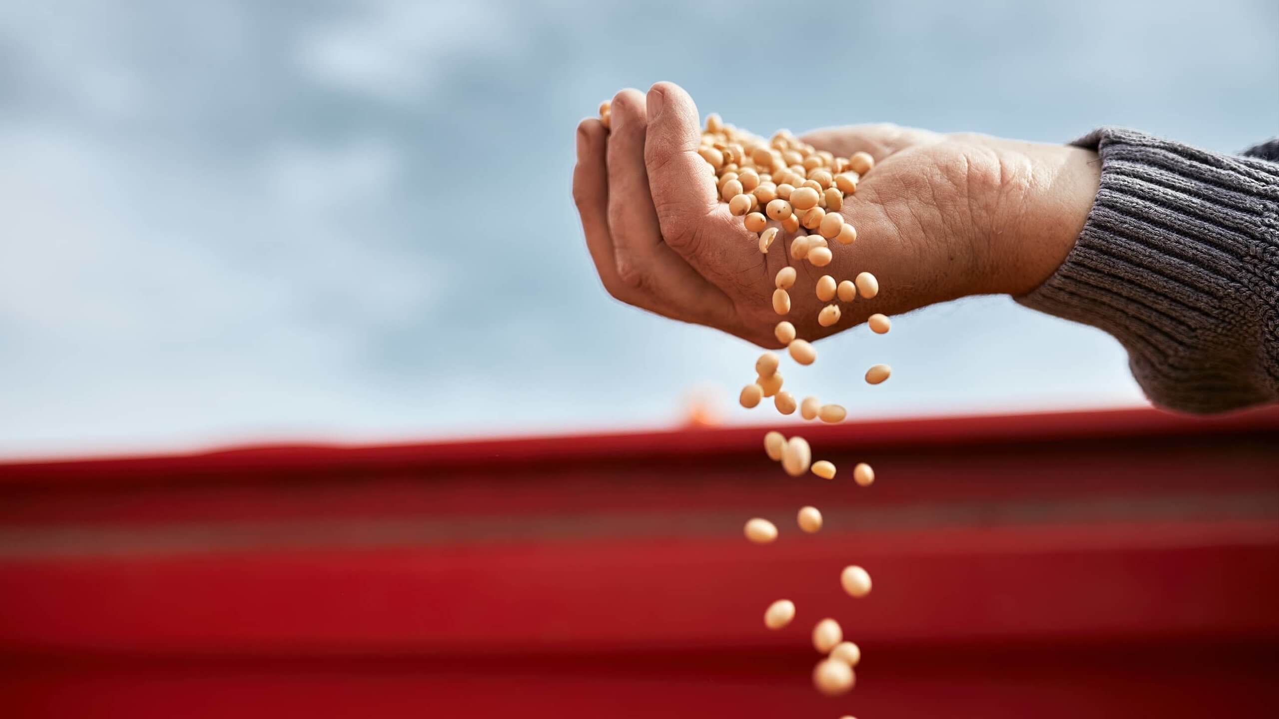 Experts Warn Of Impending Global Food Shortage That Could Lead To ...