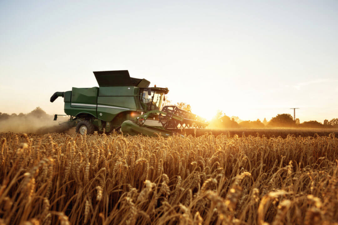 Global Food Supply Crises May Worsen Due To Poor US Harvest - Paine.TV