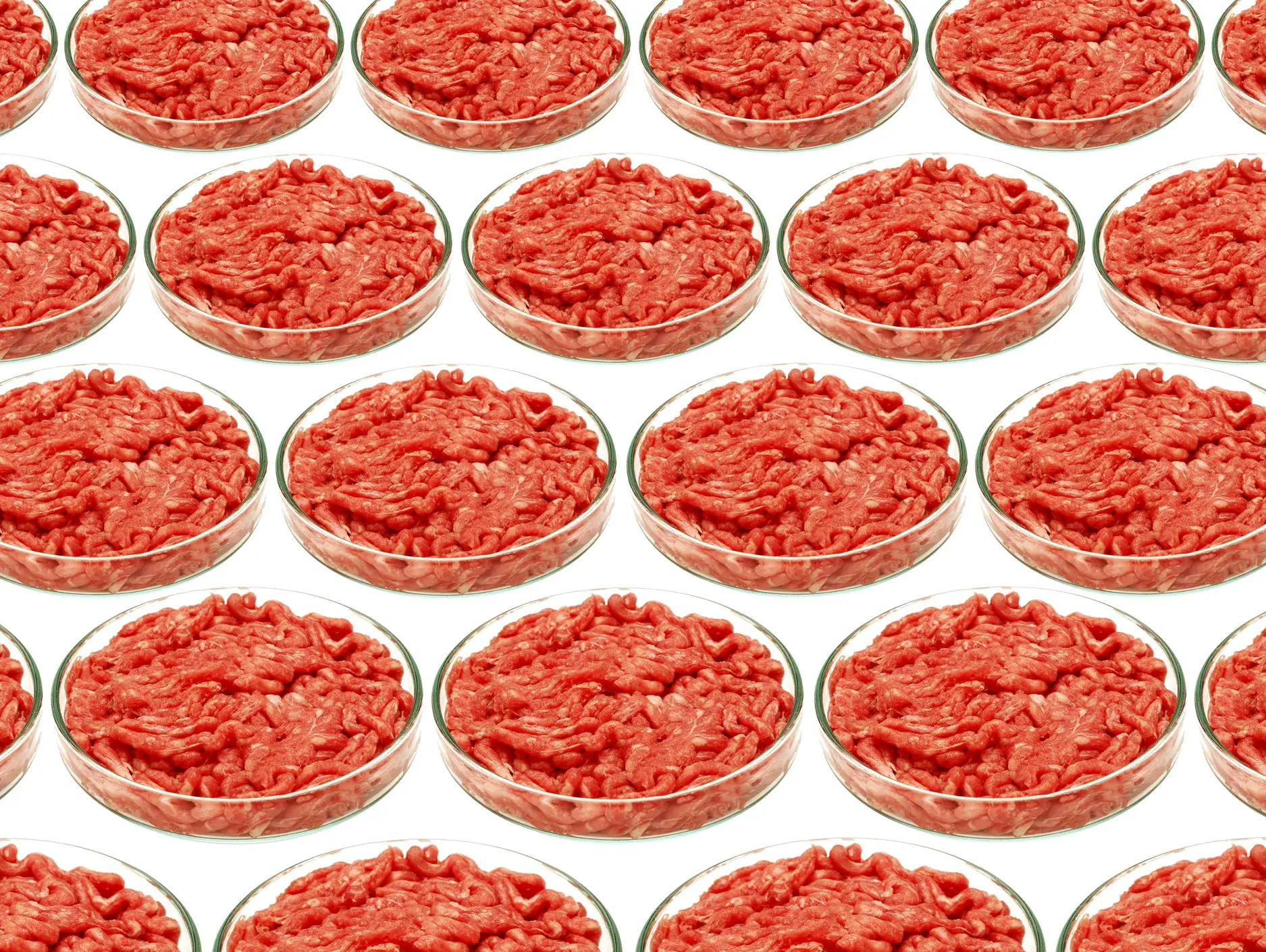 Fake Meat Fail: Sales Collapse At Beyond Meat, Impossible Foods As 20% ...